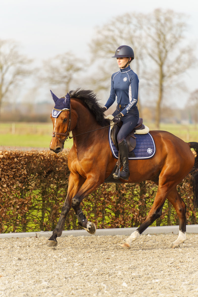 Dapple Equestrian